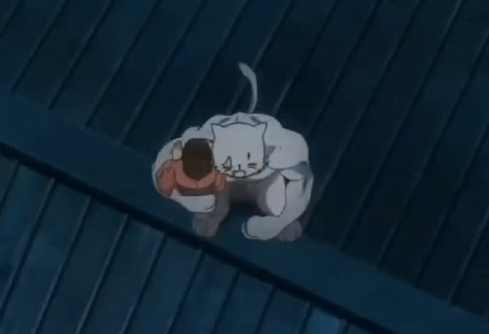 투디갤 - 은혼 도자에몬 인외냐?